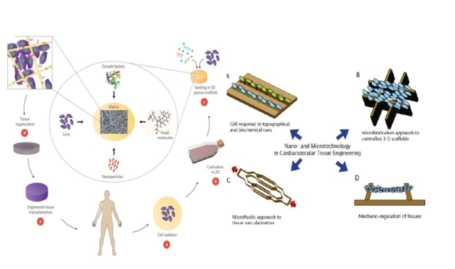 Nanotechnology in Tissue Engineering: Overcoming Traditional Challenges ...